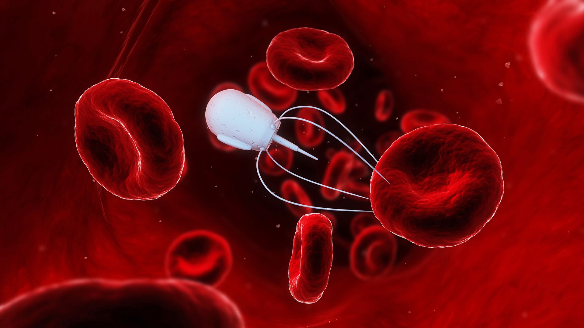 The Internet Of Bodies Connects The Human Body To IoT Devices - CnetLabs KN